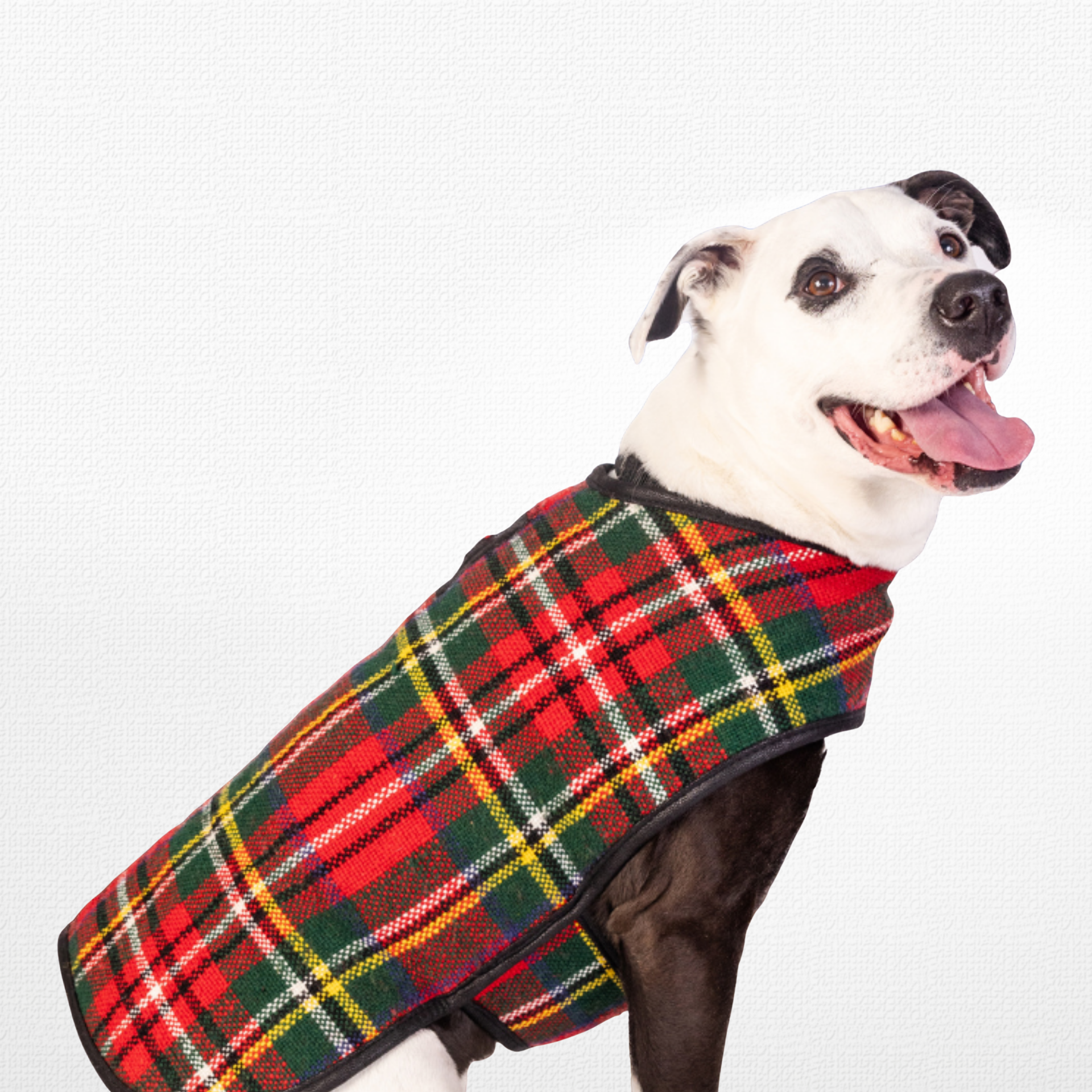 Dog Coats – Chilly Dog Sweaters